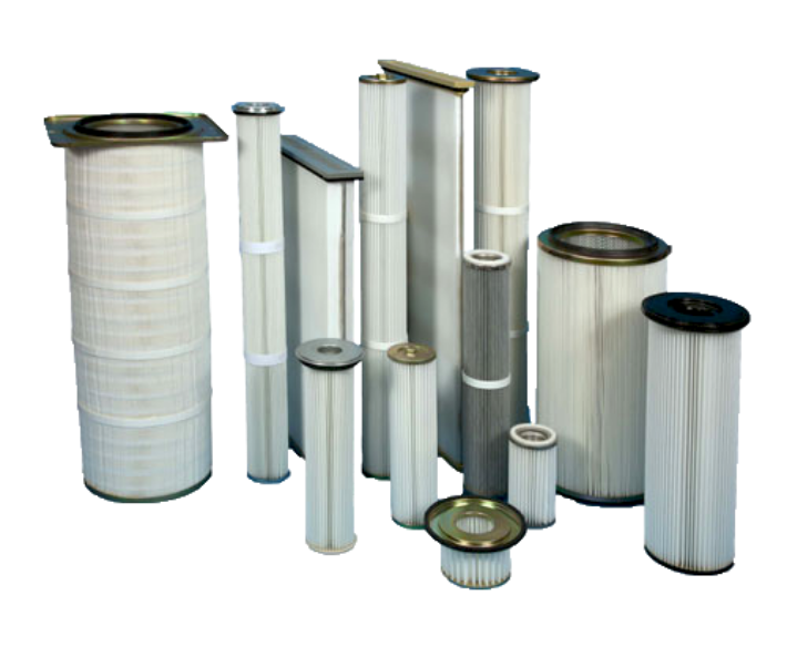 Cartridge Filter and Housing | Filterdeperfect